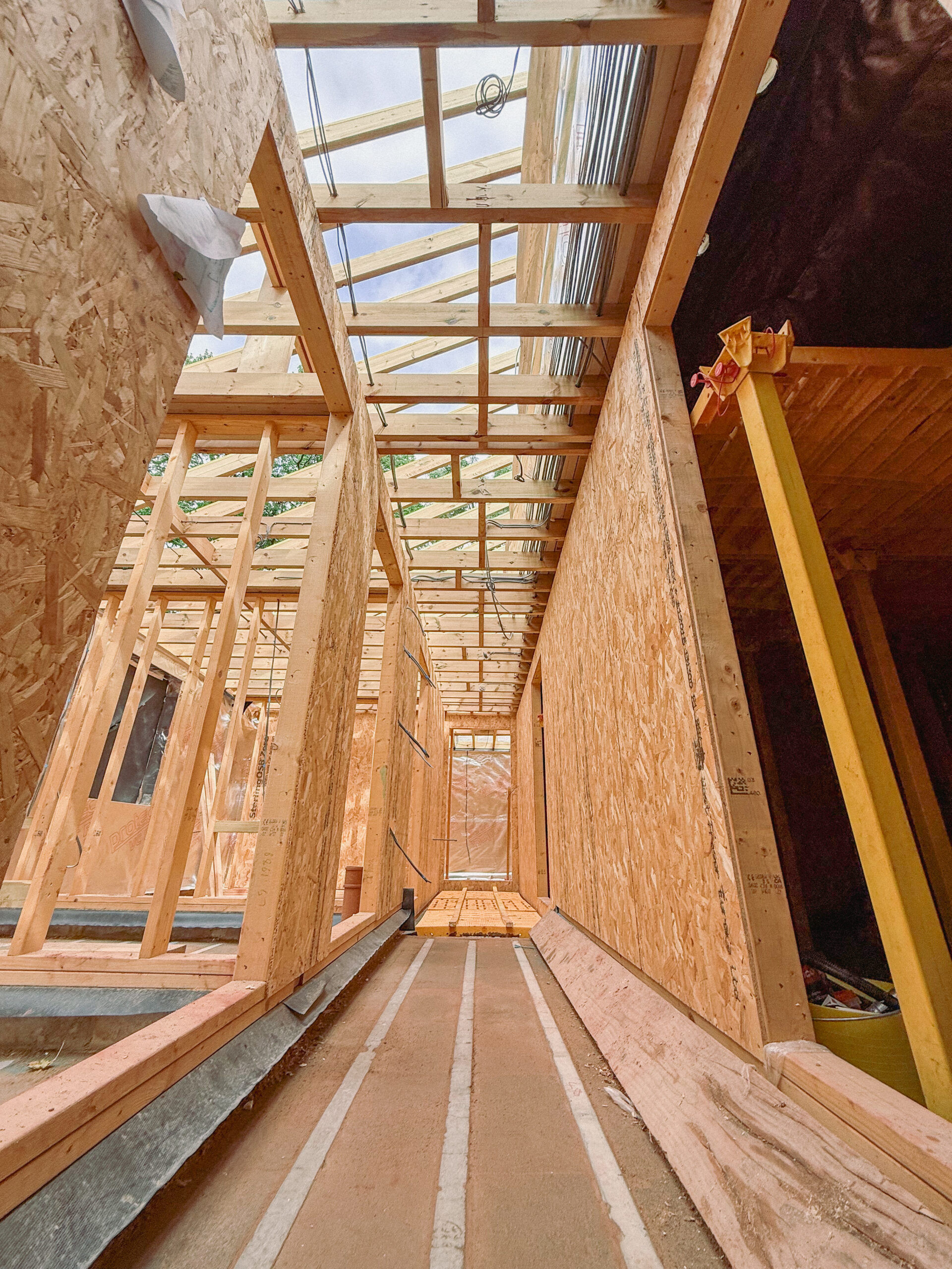 Timber Use Classes Explained | UK Construction Guide
