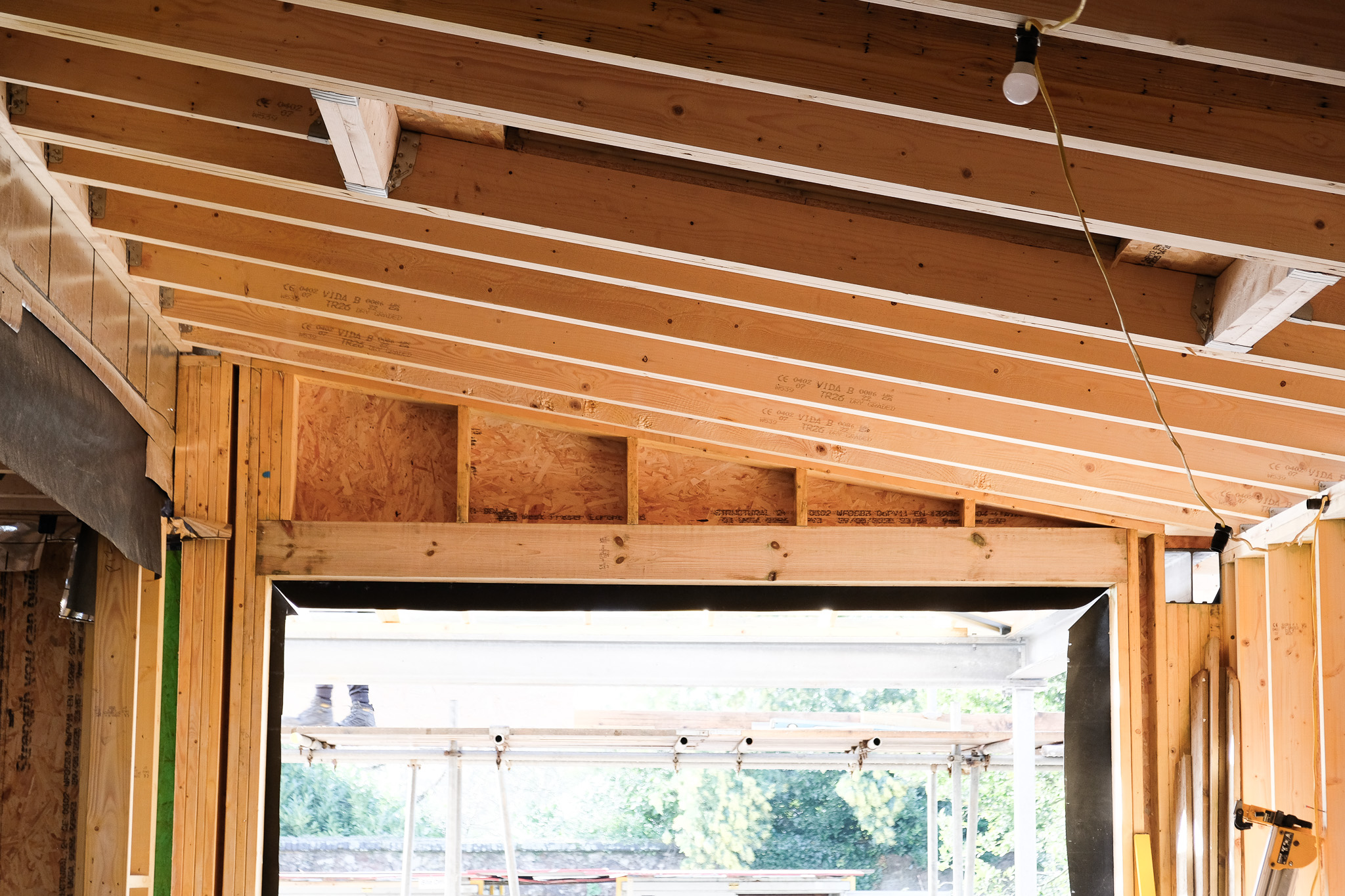 Timber Use Classes Explained | UK Construction Guide